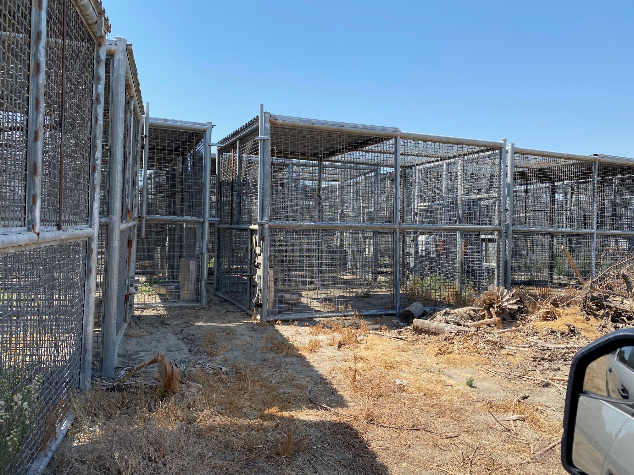 Truth comes out about cages on Caruthers ranch - The Business Journal