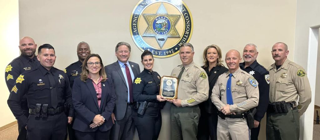 magec - The Business Journal