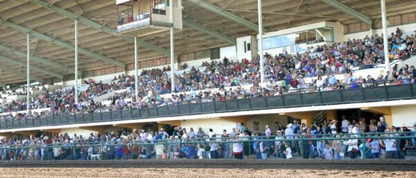 No more horse racing at Big Fresno Fair, but plenty of horsepower with ...